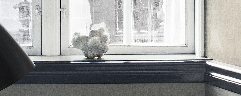 Topp 500 | Royaldesign.no